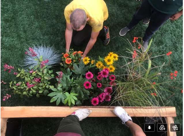 The Green Influencers Scheme comes to a close but environmental social ...