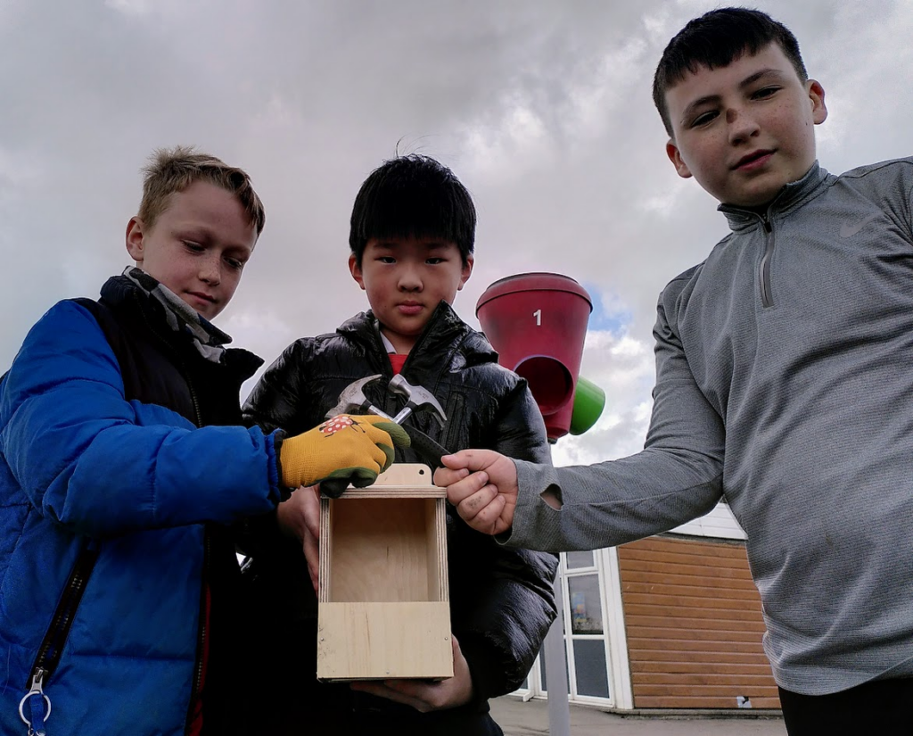 The Green Influencers Scheme comes to a close but environmental social ...